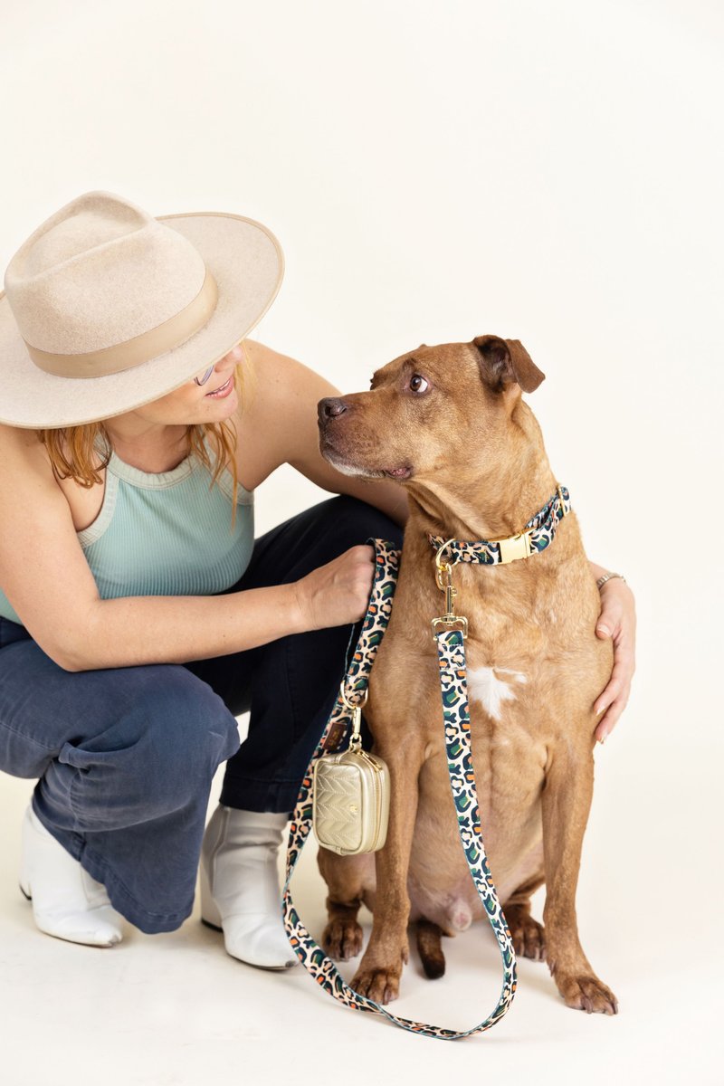 PINK PAPYRUS Leopard Polyester Dog Leash, 4-ft long 1-in wide - Chewy.com