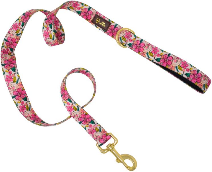 Pink Papyrus - Free shipping | Chewy