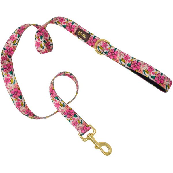 PINK PAPYRUS Leopard Polyester Dog Leash, 4-ft long 1-in wide - Chewy.com