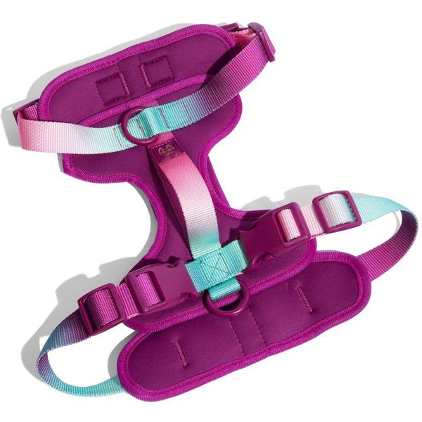 PINK PAPYRUS Black Adjustable Cushioned Dog Harness, Medium: 20 to 28 ...