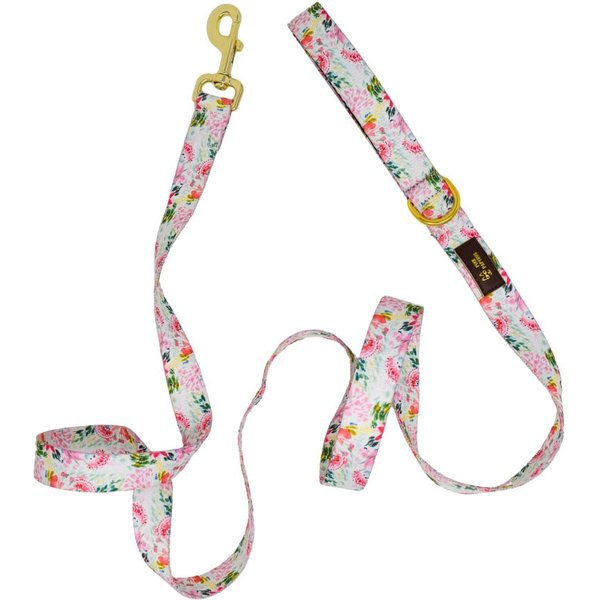 PINK PAPYRUS Spring Floral Polyester Dog Leash, 6-ft long 1-in wide ...