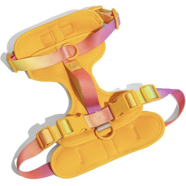 PINK PAPYRUS Black Adjustable Cushioned Dog Harness, Medium: 20 to 28 ...