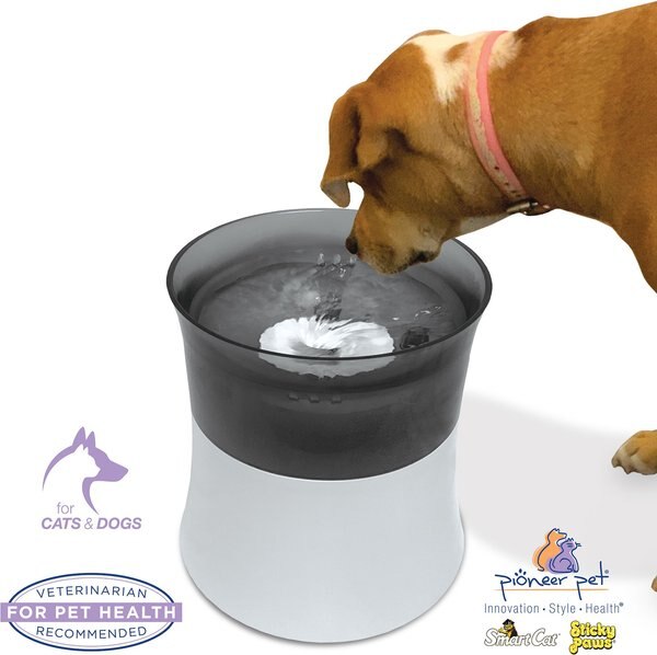 PIONEER PET Vortex Elevated Drinking Dog Fountain, Gray, Medium - Chewy.com