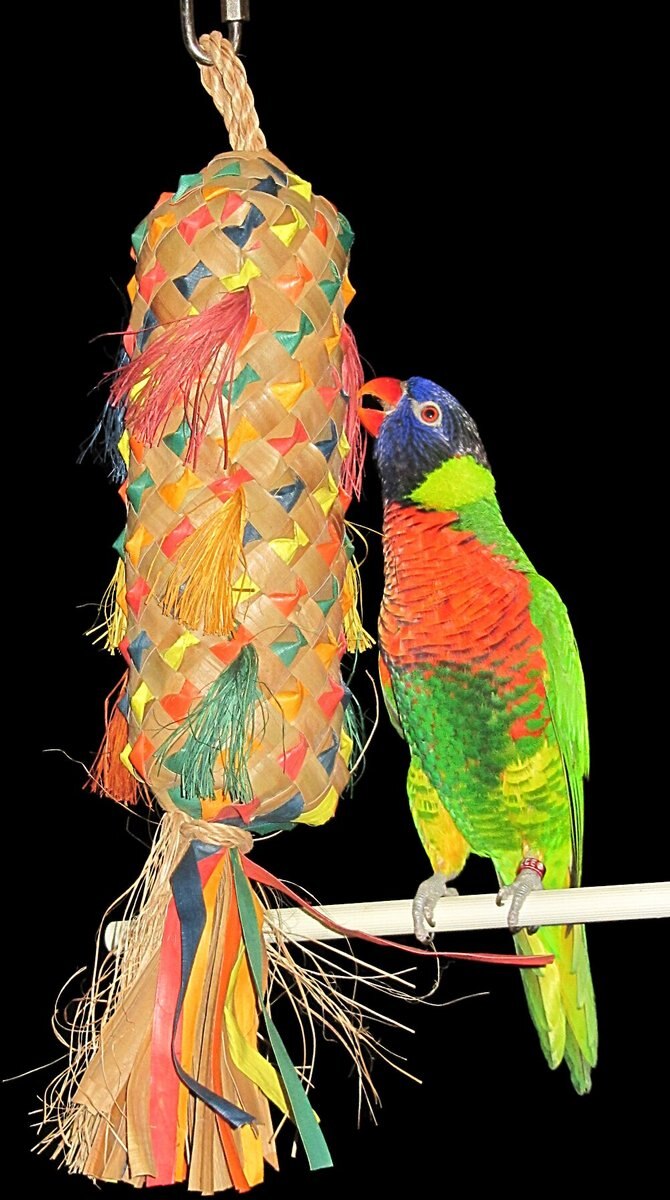 PLANET PLEASURES Spiked Piñata Natural Bird Toy, Color Varies, Medium ...