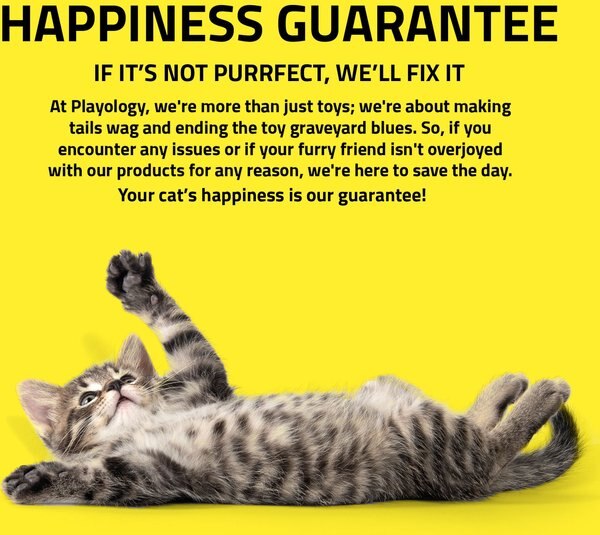 PLAYOLOGY Motorized Hummingbird/Butterfly Teaser Cat Toy - Chewy.com