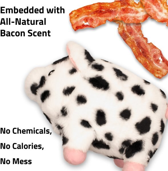 PLAYOLOGY Bacon Scented Pig Plush Oinking Dog Toy - Chewy.com