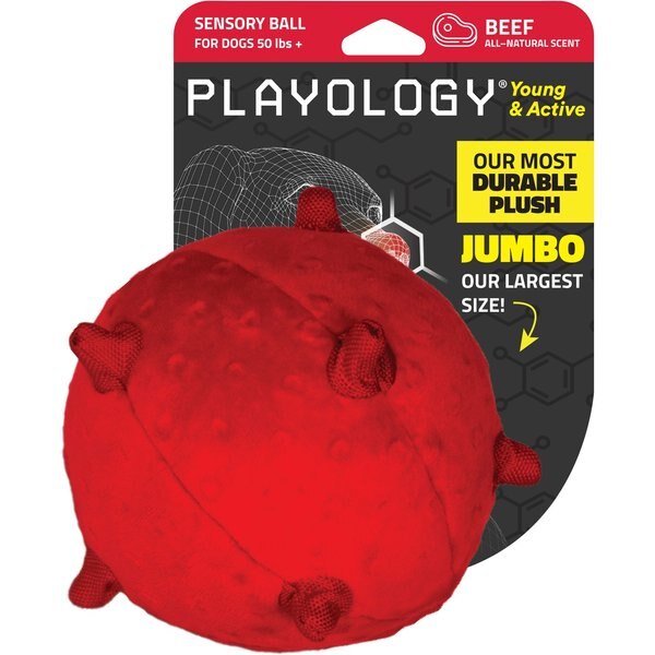 LITTLEARTH Tough Chewer Dog Ball Toy, Pittsburgh Panthers - Chewy.com