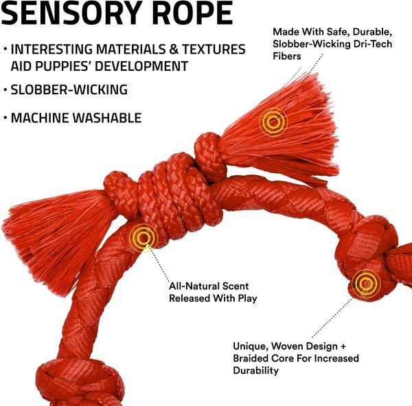 PLAYOLOGY Beef Scented Young & Active Sensory Rope Dog Toy, Small ...