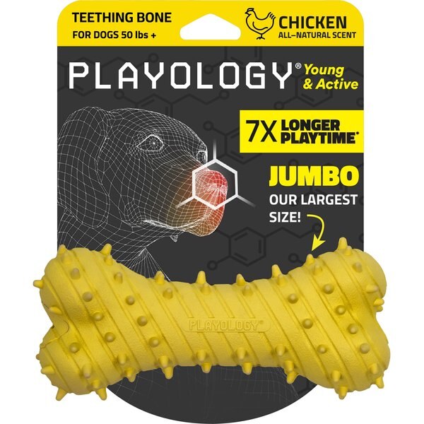 PLAYOLOGY Young & Active Teething Bone Chicken Dog Toy, Yellow, Jumbo ...