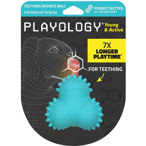 Chew Toys for Puppies (Free Shipping) | Chewy