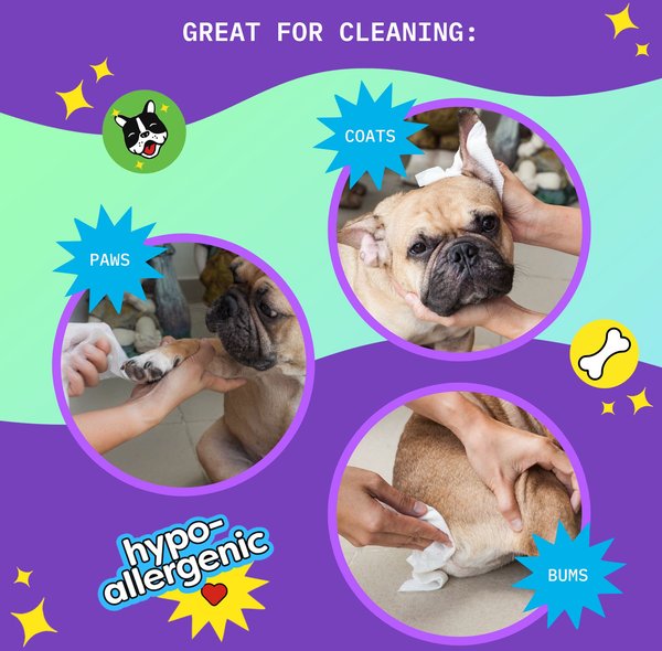 POGI'S PET SUPPLIES Deodorizing Wipes for Dogs & Cats, 100 count, Green ...