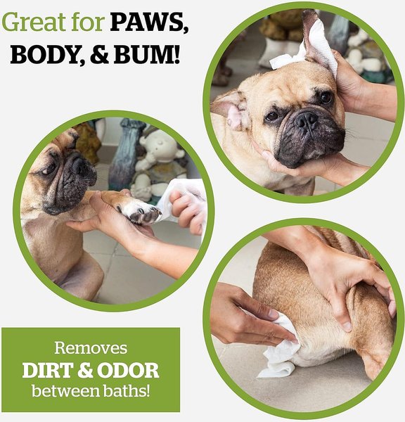 POGI'S PET SUPPLIES Green Tea Leaf Scent Dog, Cat & Small Pet ...