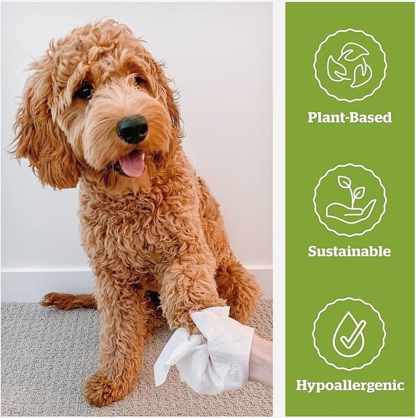 POGI'S PET SUPPLIES Green Tea Leaf Scent Dog, Cat & Small Pet ...