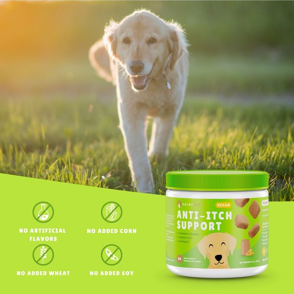 POINTPET Anti-Itch Support Peanut Butter Flavored Dog Soft Chews Supplement, 90 count - Chewy.com
