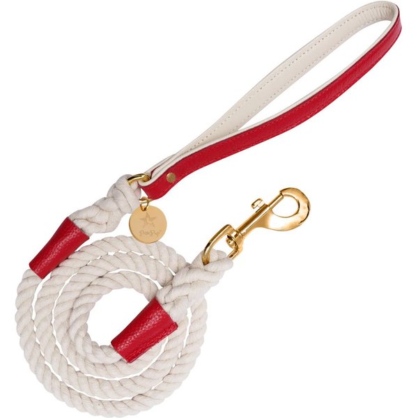 AWOO Infinity Standard Dog Leash, 7-ft long, Navy - Chewy.com