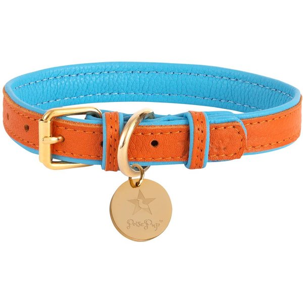 ANGEL Rotterdam Bones Standard Dog Collar, Blue, 22 x 1-in - Chewy.com