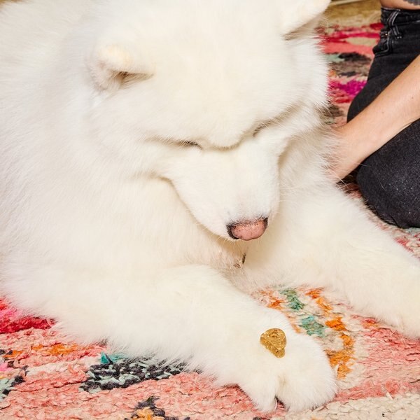 POKE'S P'Nutty for 'Nanas Soft & Chewy Dog Treats, 8-oz bag - Chewy.com