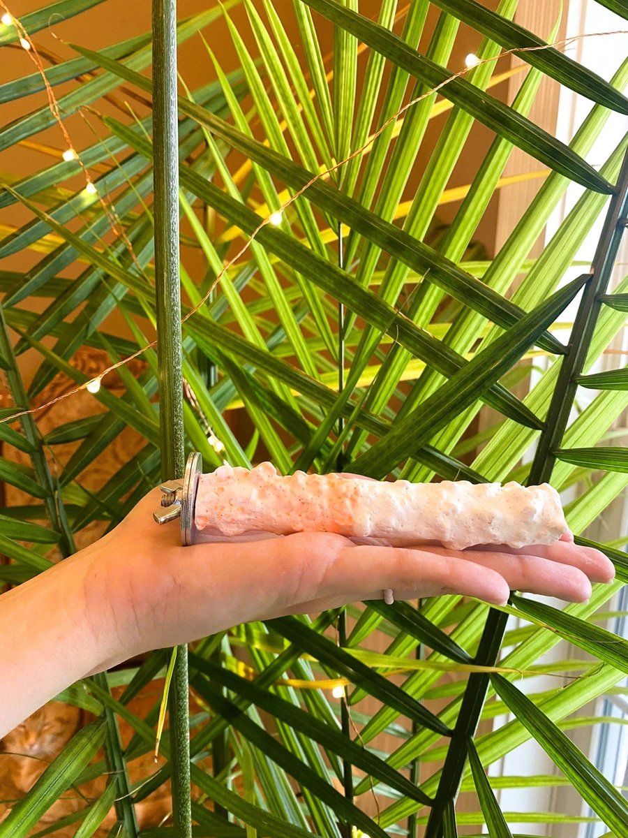 POLLY'S PET PRODUCTS Banana Split Cuttlebone & Calcium Bird Perch ...