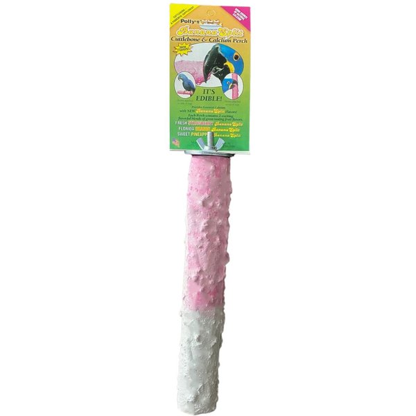 FRISCO Color Me Wild Bird Playground - Chewy.com