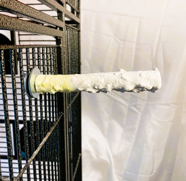 POLLY'S PET PRODUCTS Banana Split Cuttlebone & Calcium Bird Perch ...