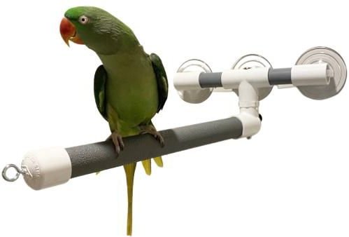 POLLY'S PET PRODUCTS Deluxe Window & Shower Bird Perch, Large - Chewy.com