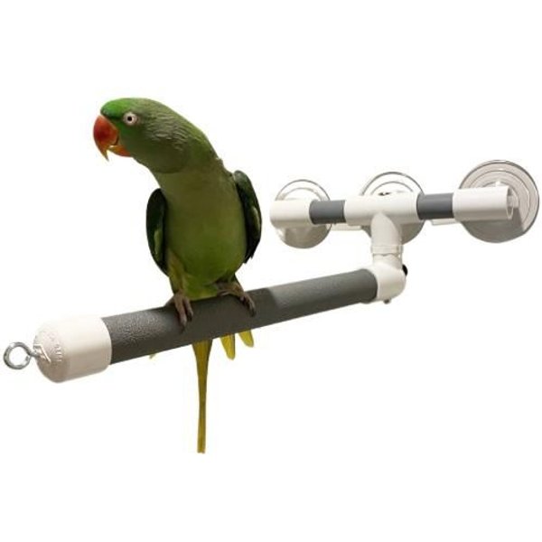 POLLY'S PET PRODUCTS Deluxe Window & Shower Bird Perch, Large - Chewy.com