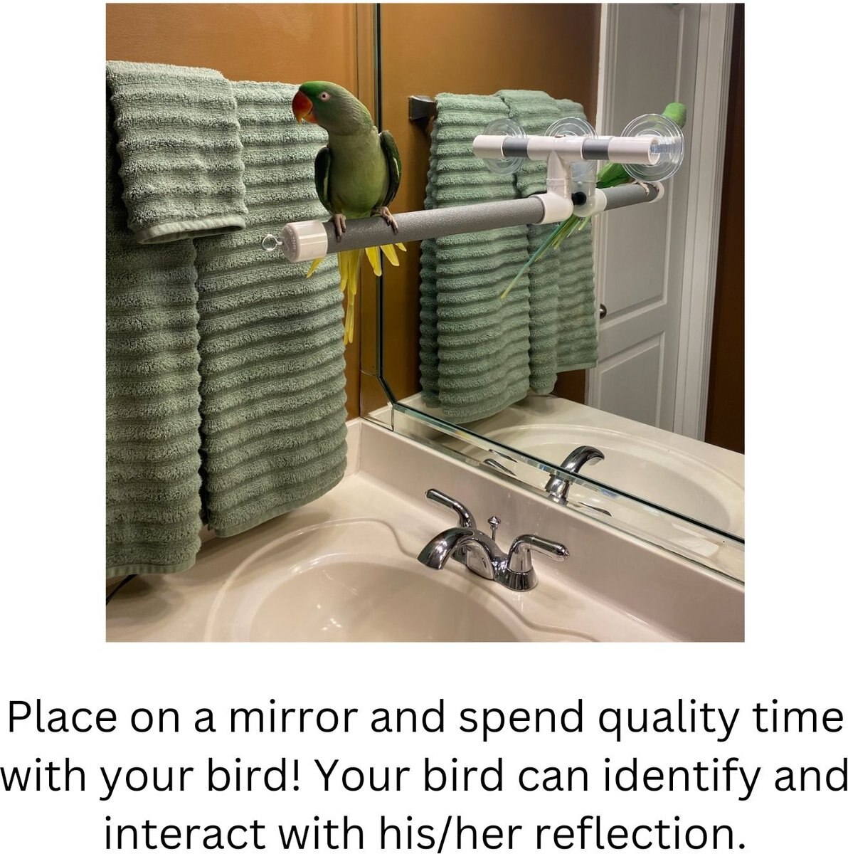 POLLY'S PET PRODUCTS Deluxe Window & Shower Bird Perch, Large - Chewy.com