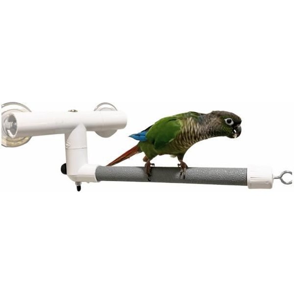 POLLY'S PET PRODUCTS Deluxe Window & Shower Bird Perch, Small - Chewy.com