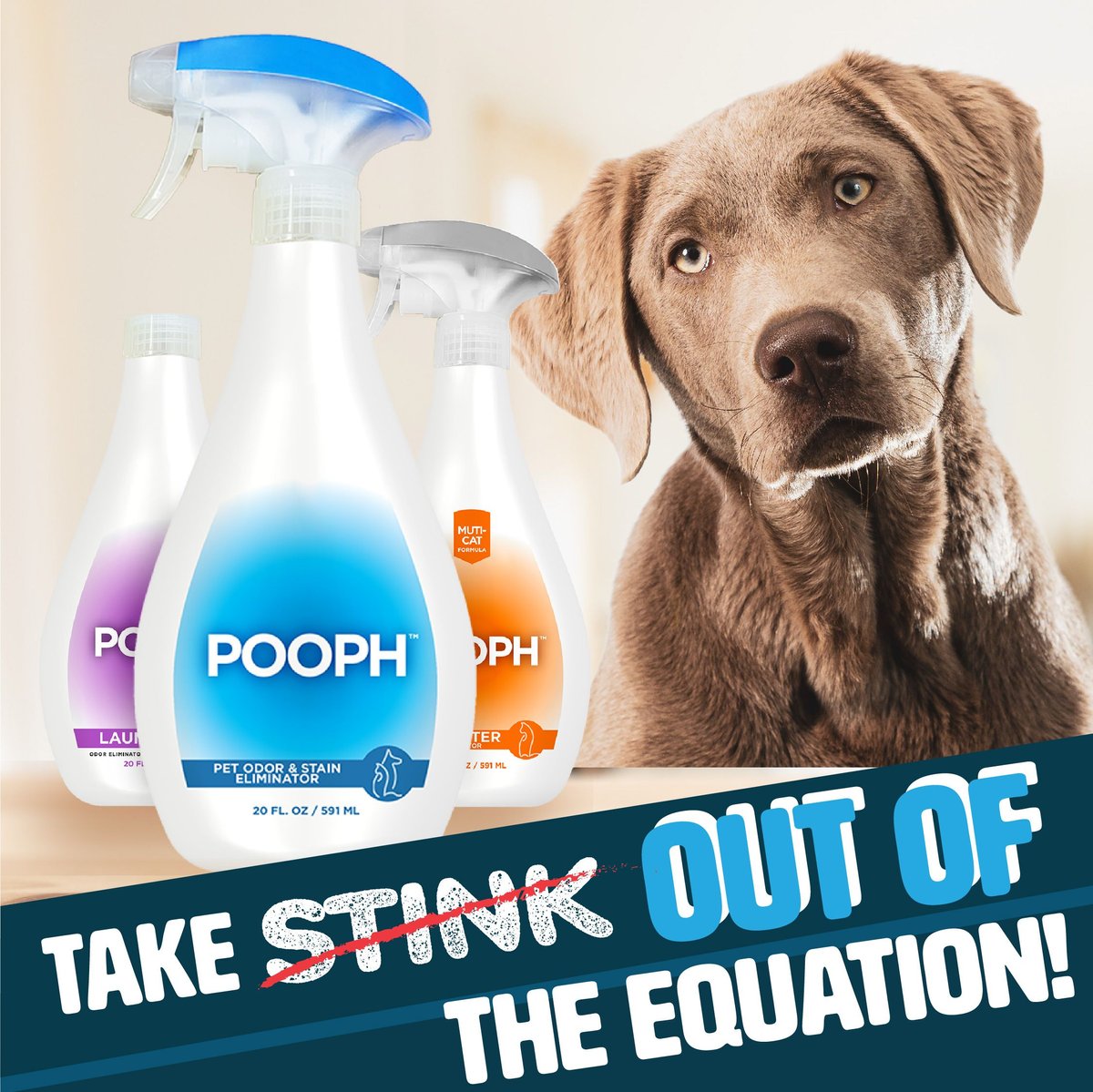 POOPH Cat & Dog Odor & Stain Eliminator, 20-fl oz bottle - Chewy.com