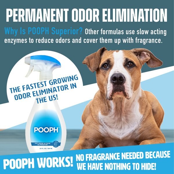 POOPH Cat & Dog Odor & Stain Eliminator, 20-fl oz bottle - Chewy.com