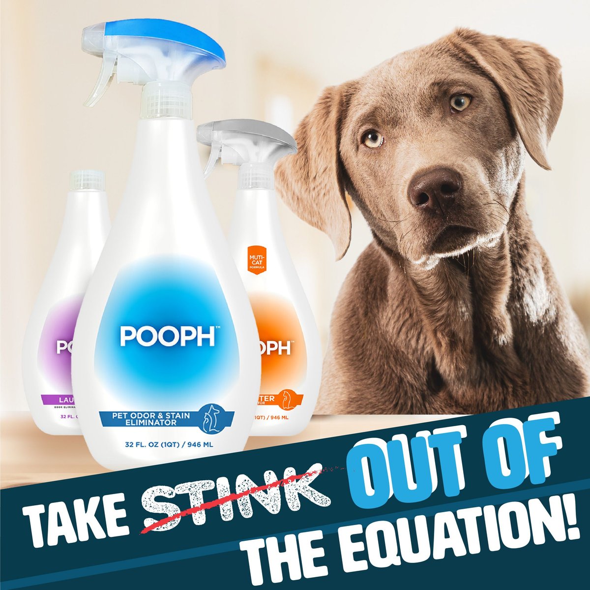 POOPH Cat & Dog Odor & Stain Eliminator, 32-fl oz bottle - Chewy.com