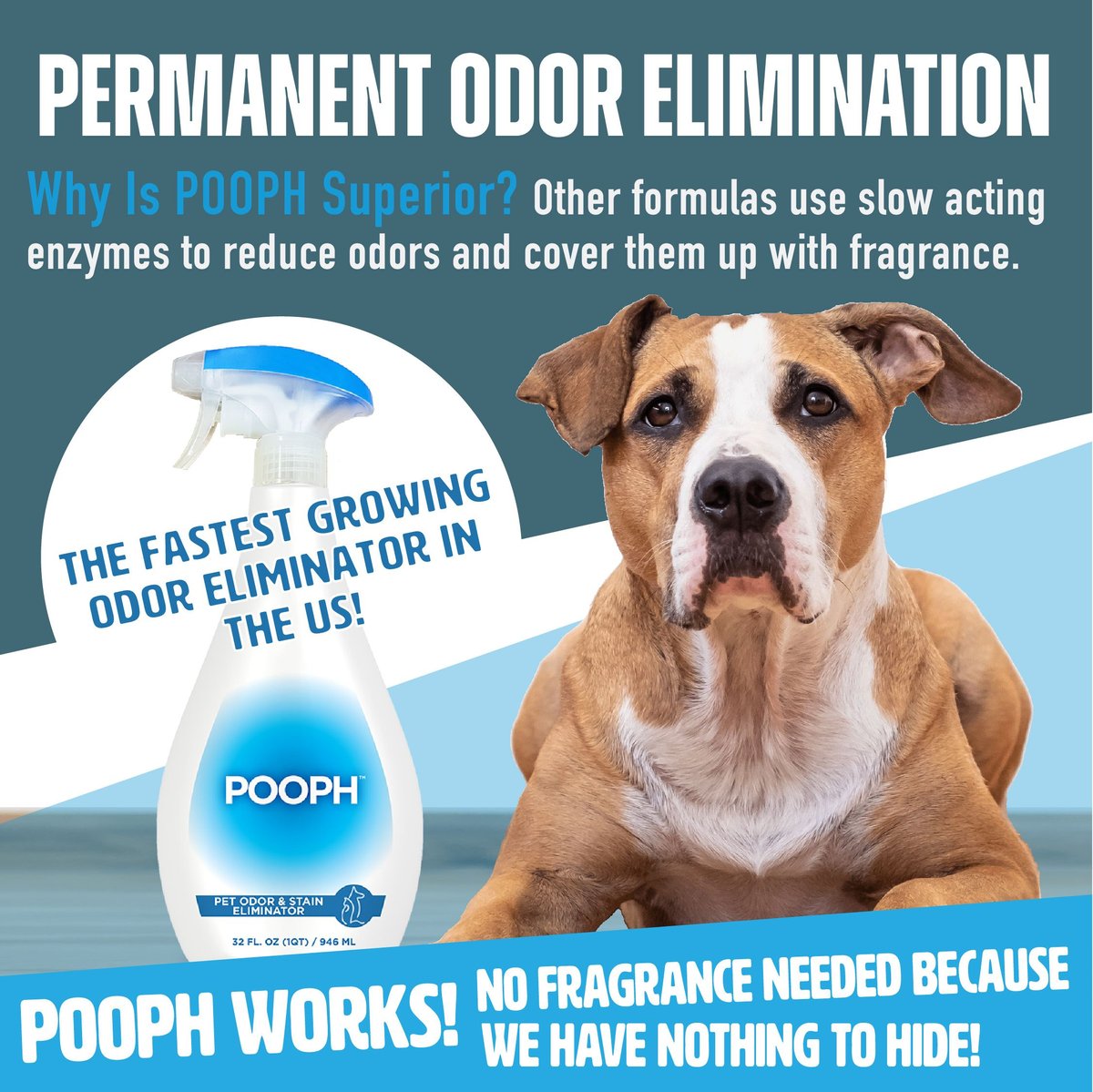 POOPH Cat & Dog Odor & Stain Eliminator, 32-fl oz bottle - Chewy.com