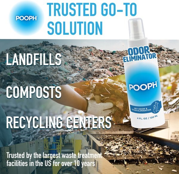 POOPH Cat & Dog Odor & Stain Eliminator, 4-fl oz bottle - Chewy.com