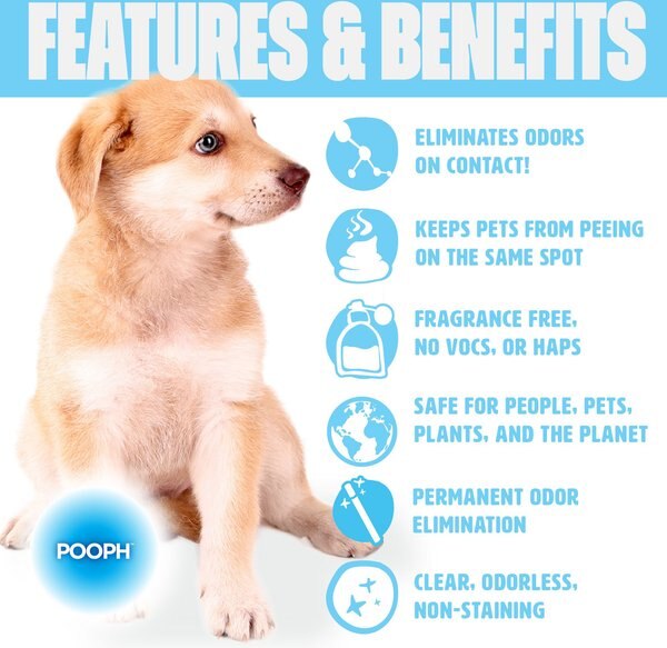 POOPH Cat & Dog Odor & Stain Eliminator, 4-fl oz bottle - Chewy.com