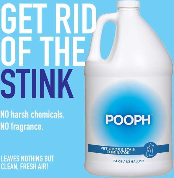 POOPH Cat & Dog Odor & Stain Eliminator, 64-fl oz bottle - Chewy.com