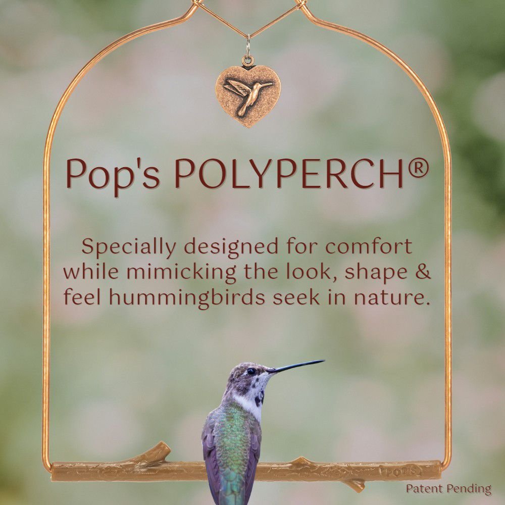 POP'S BIRDING Copper Hummingbird Swing, Bark Brown Perch - Chewy.com