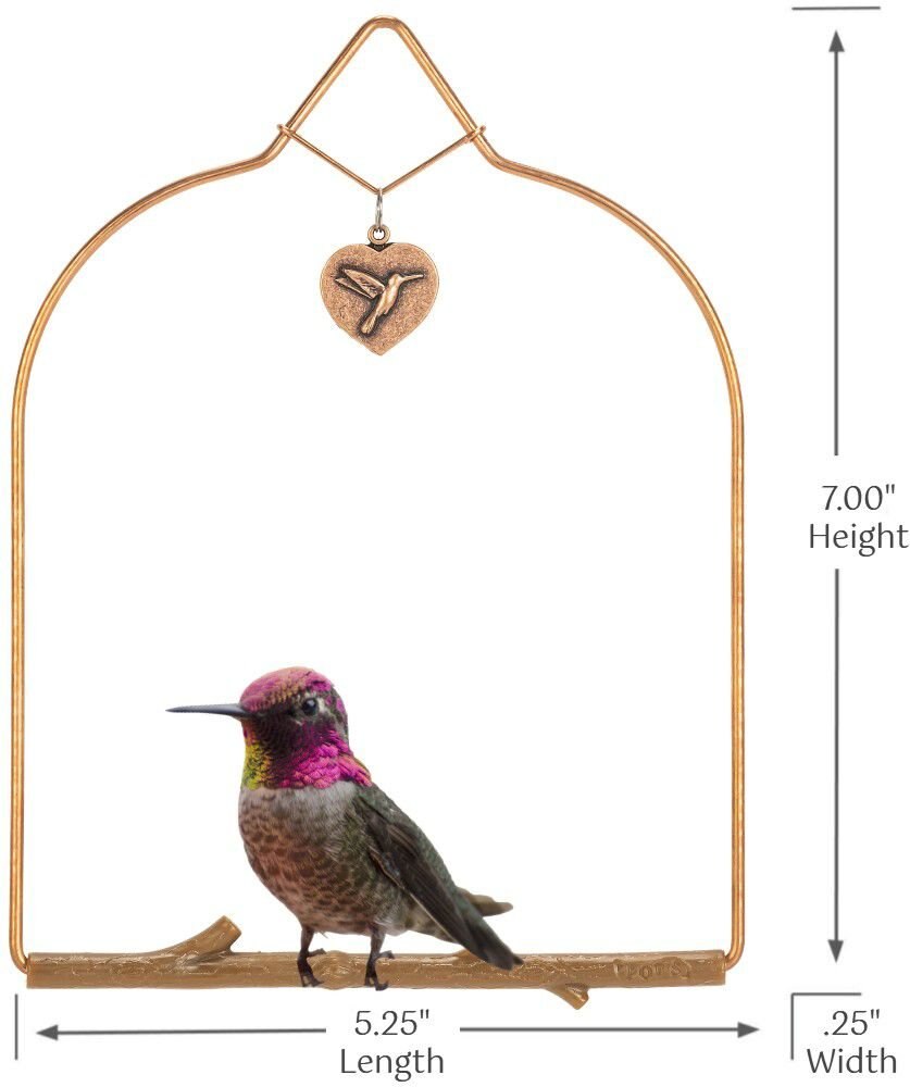 POP'S BIRDING Copper Hummingbird Swing, Bark Brown Perch - Chewy.com