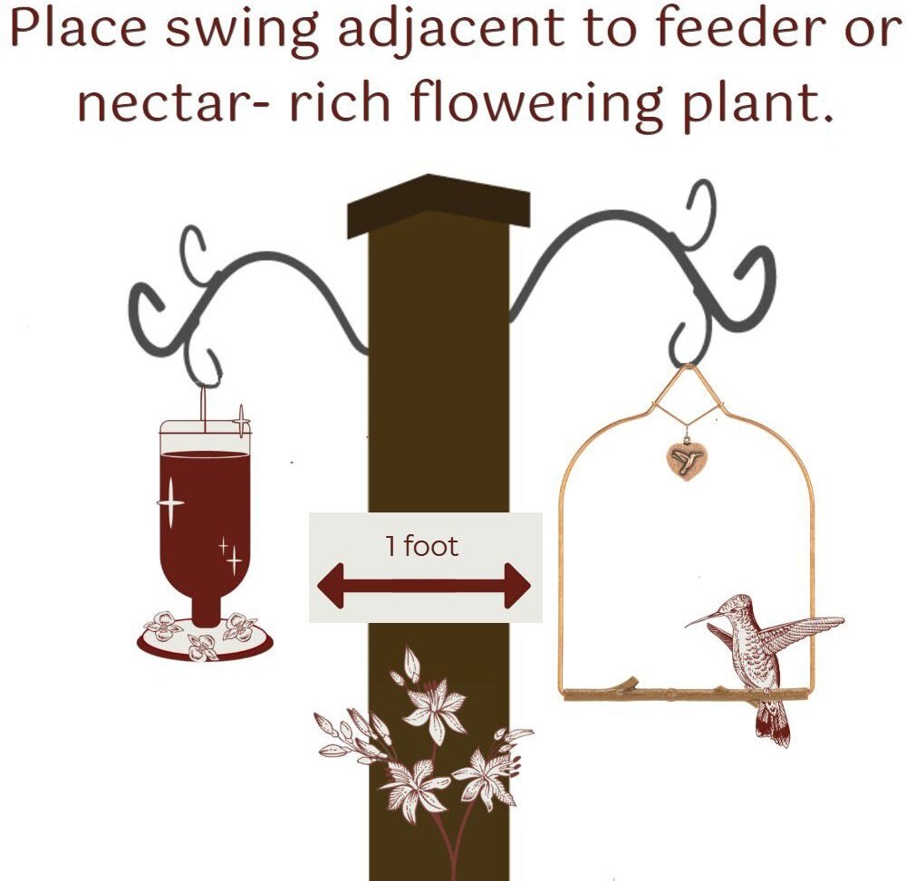 POP'S BIRDING Copper Hummingbird Swing, Bark Brown Perch - Chewy.com