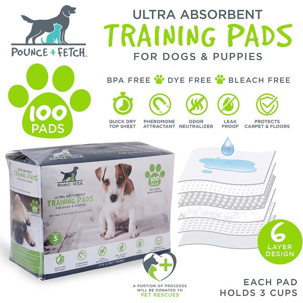 POUNCE + FETCH Ultra Absorbent Dog Training Pads, 100 count - Chewy.com