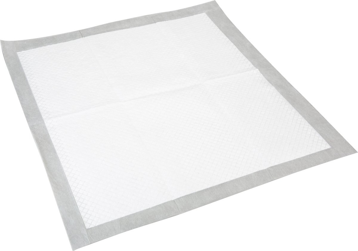 POUNCE + FETCH Ultra Absorbent Dog Training Pads, 100 count - Chewy.com