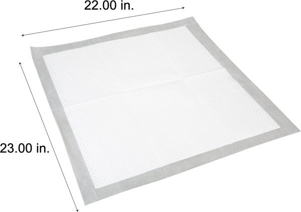 POUNCE + FETCH Ultra Absorbent Dog Training Pads, 100 count - Chewy.com