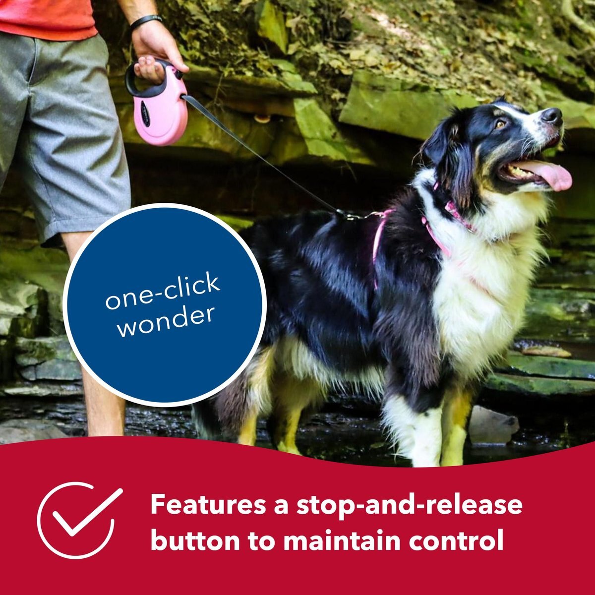 POWER WALKER Retractable Dog Leash, Blue, 16-ft long, 3/8-in wide ...