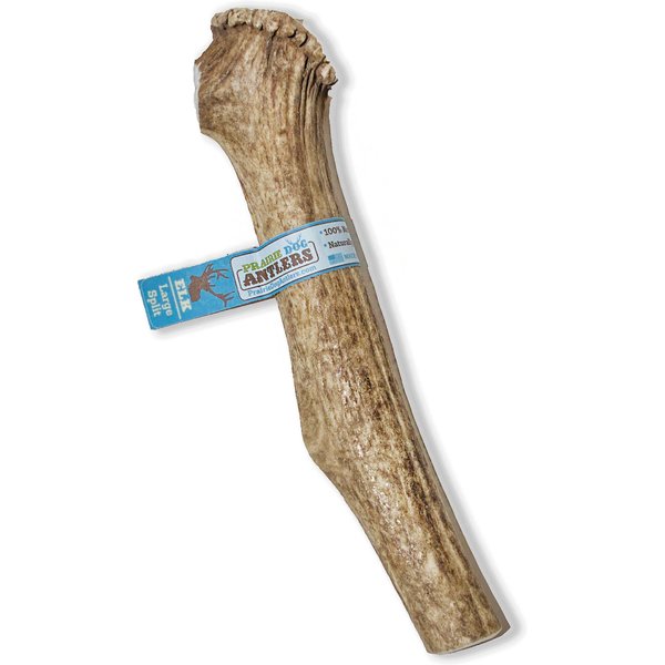 BEST DOG CHEWS Split Elk Antler Dog Treats, 1 count, Large - Chewy.com