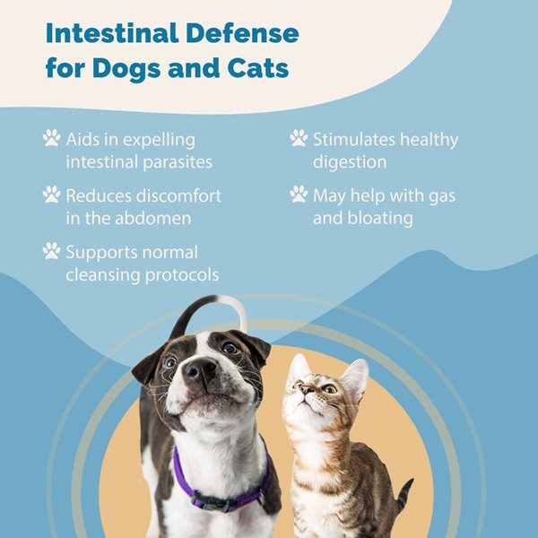 PRANA PETS Intestinal Defense Herbal Dewormer Liquid Supplement for ...