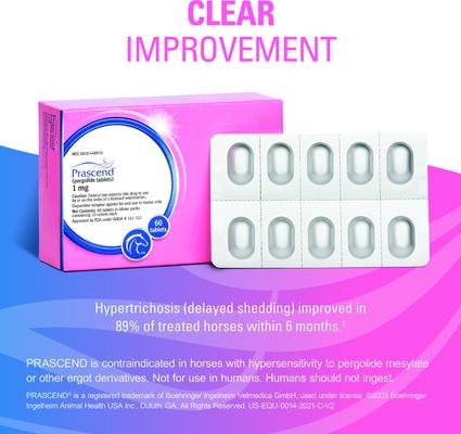 PRASCEND (Pergolide) Tablets for Horses, 1-mg - Easy Refills | Chewy Rx