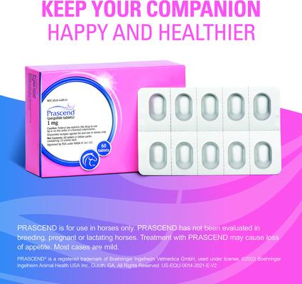 PRASCEND (Pergolide) Tablets for Horses, 1-mg - Easy Refills | Chewy Rx