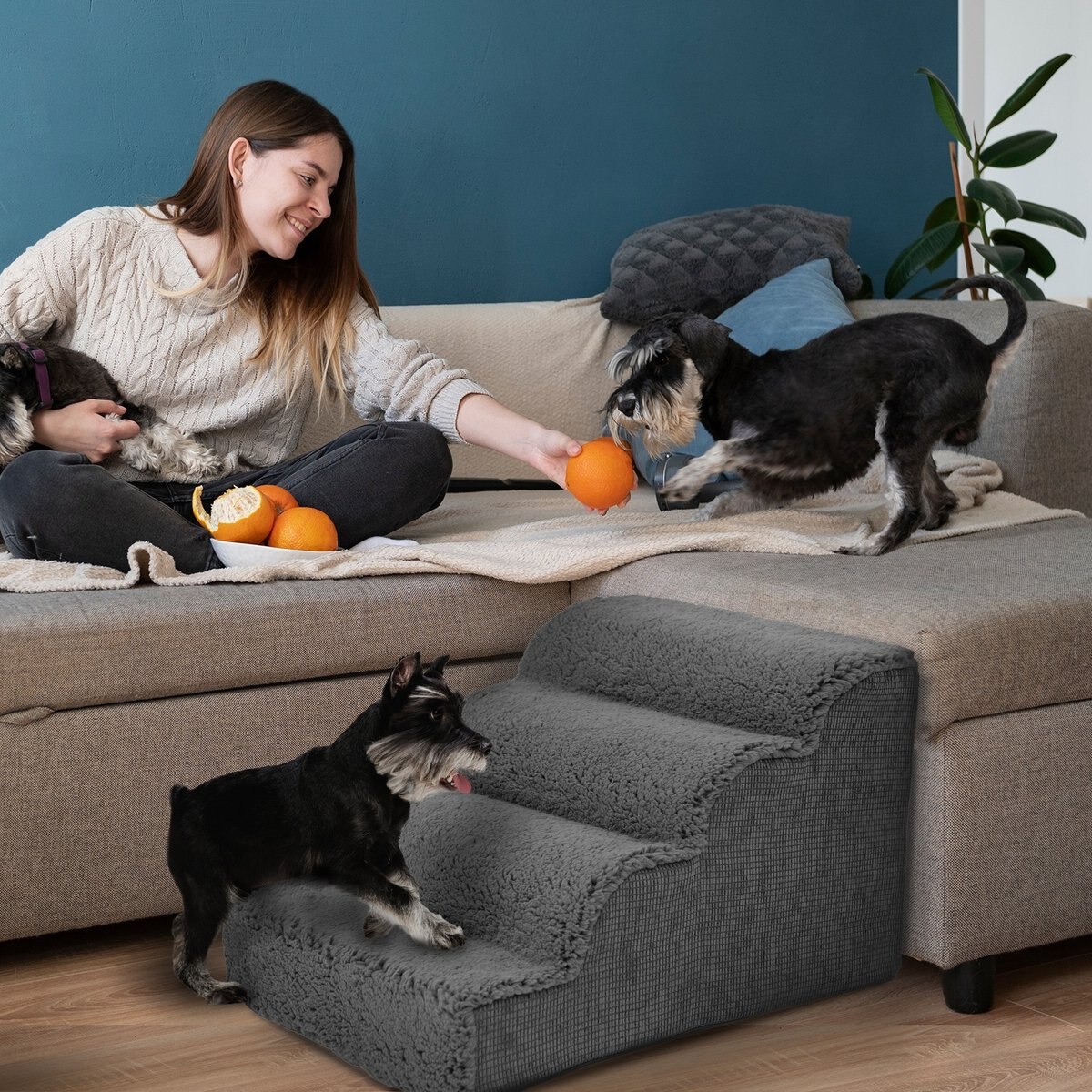 PRECIOUS TAILS High Density Foam Scalloped Sherpa Top 4 Steps Dog & Cat ...