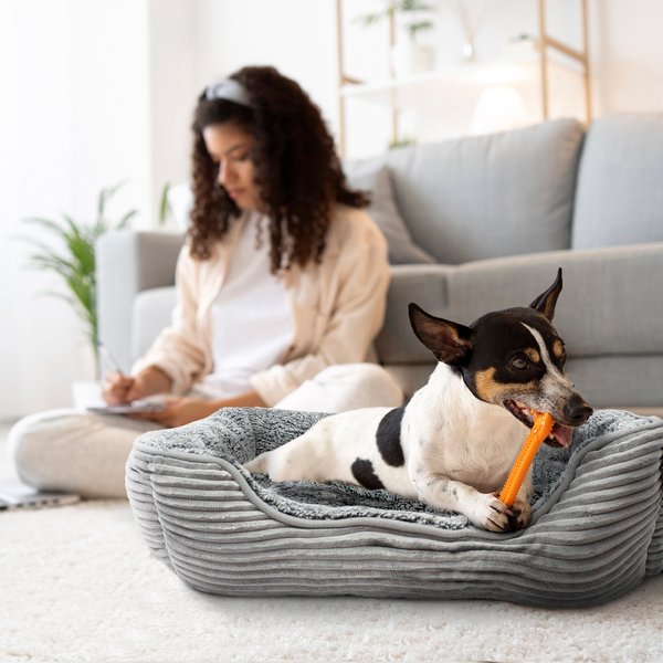 PRECIOUS TAILS Super Plush Corduroy Sherpa Cuddler Dog & Cat Bed, Gray ...