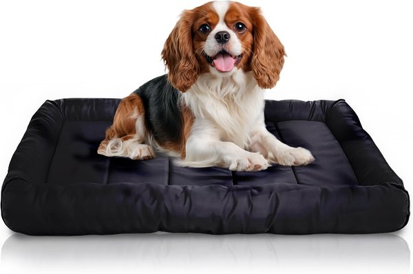 PRECIOUS TAILS Xtra Tuff Dog Crate Mat, Black, Medium - Chewy.com