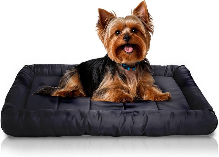 Dog Crate Mats & Pads - Page 2 (Free Shipping) | Chewy